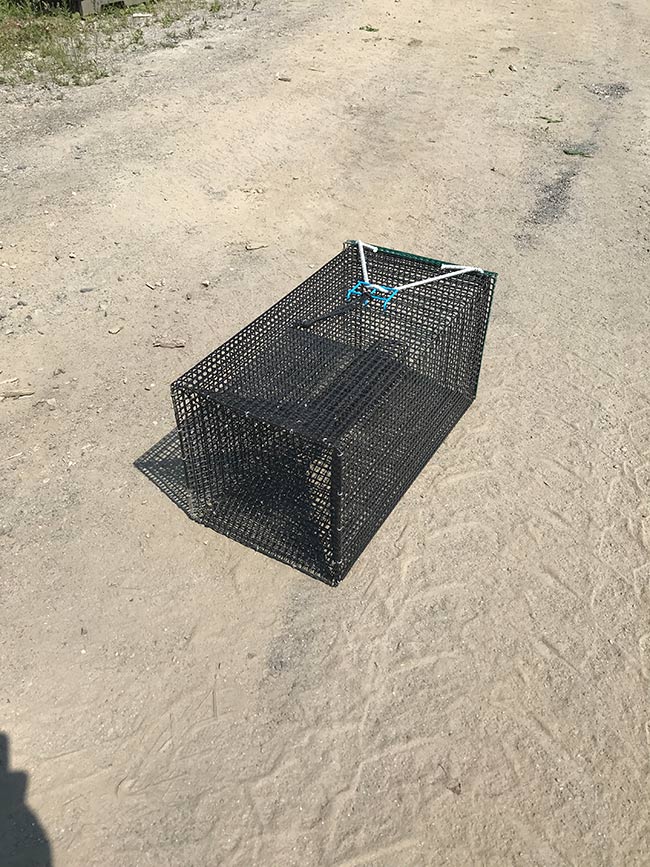 2' Eel Pot - Brooks Trap Mill