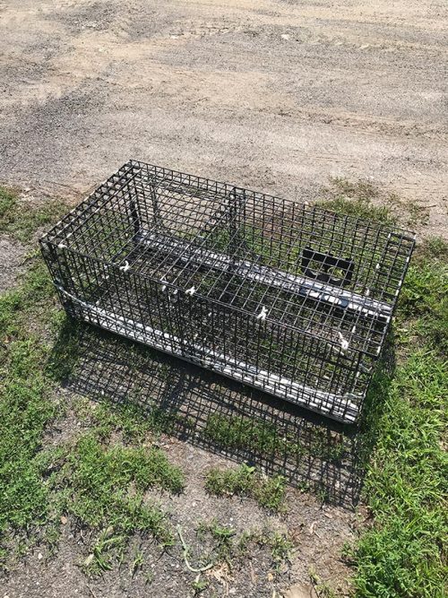 Specialty Traps - Brooks Trap Mill