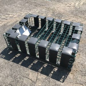 24″ Eel Pot – Brooks Trap Mill