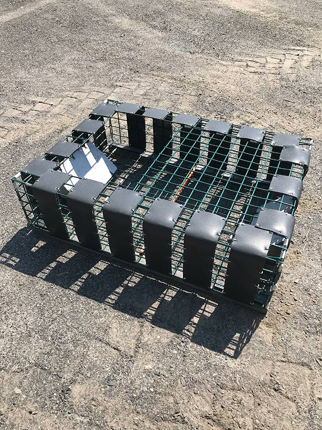 Trawl-Style Conch Pot - Brooks Trap Mill