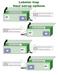 Trap Inventory – Brooks Trap Mill