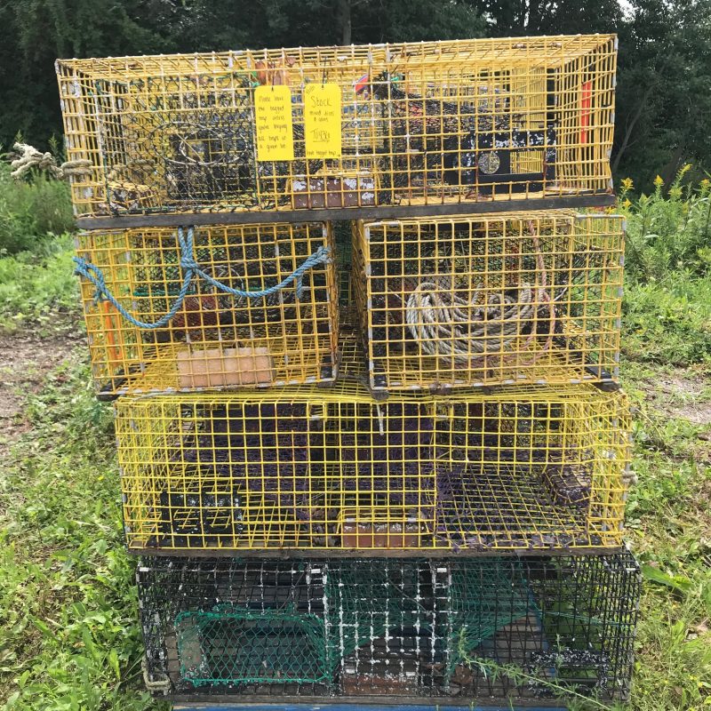 New and Used Lobster Traps, Shrimp Traps, Crab Pots | Brooks Trap Mill