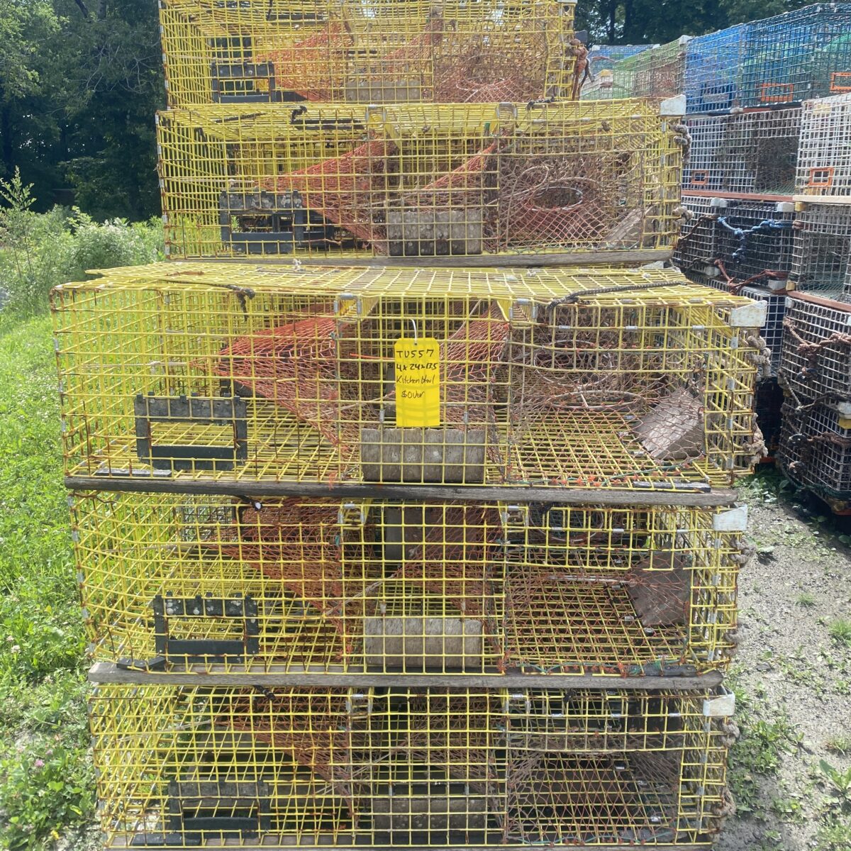 Trap Inventory – Brooks Trap Mill