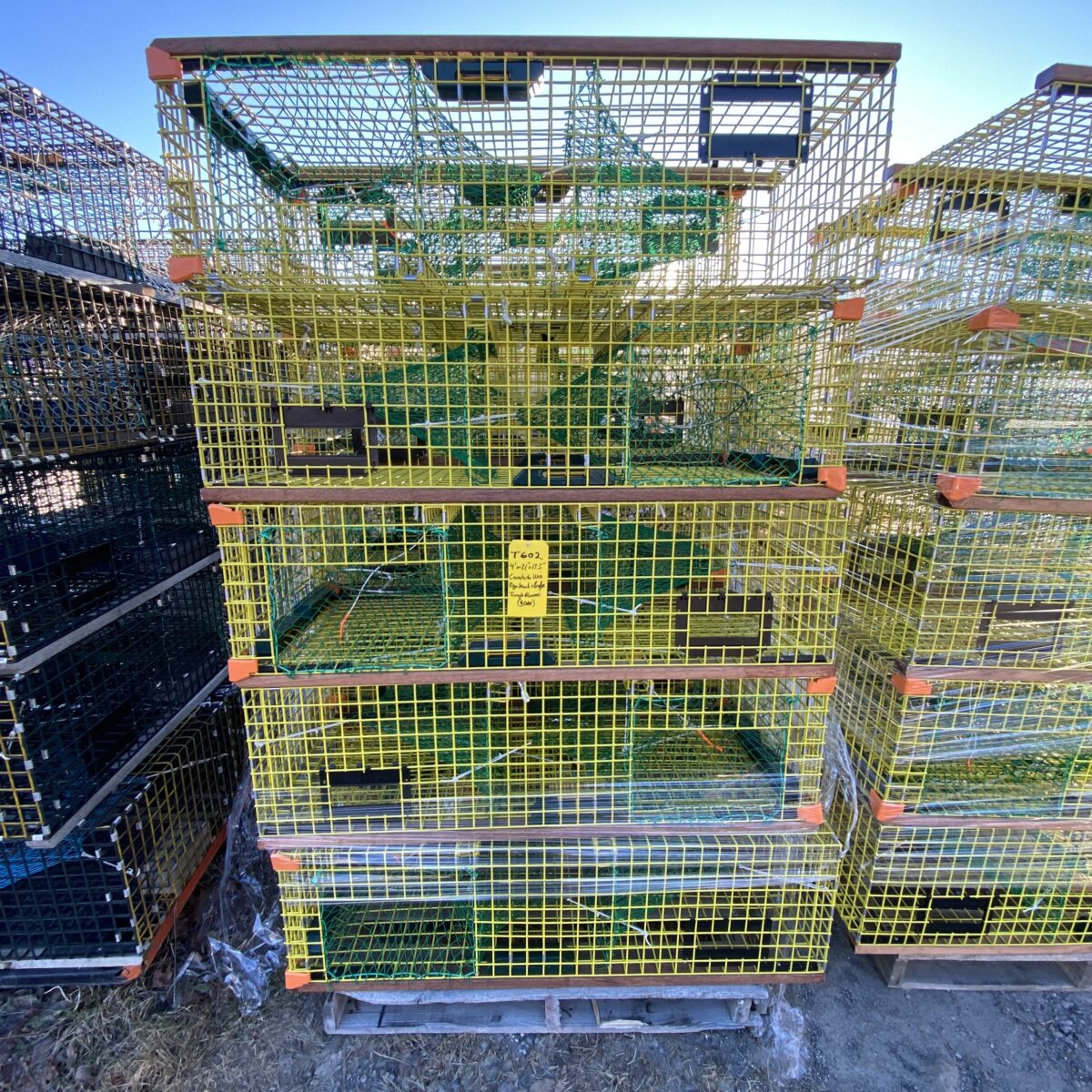 Trap Inventory – Brooks Trap Mill